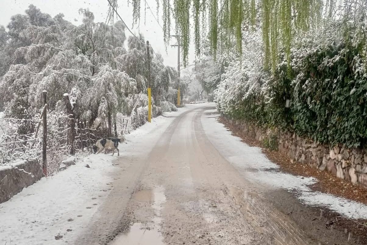 Nevó en varias localidades de San Juan: cómo están las rutas y caminos ...